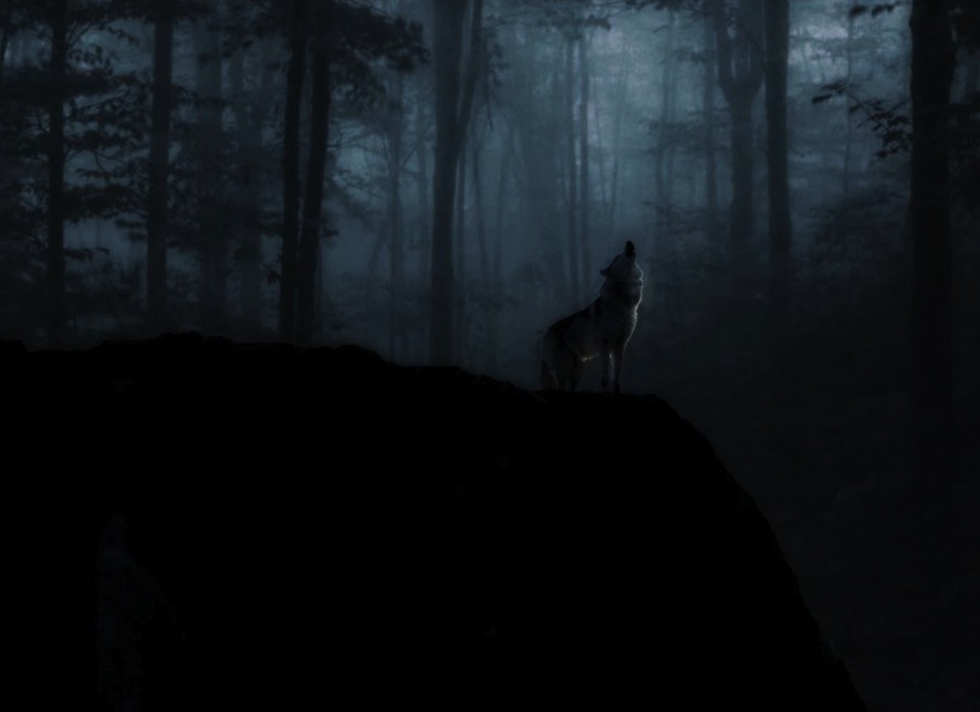 ultrawolvesunderthefullmoon