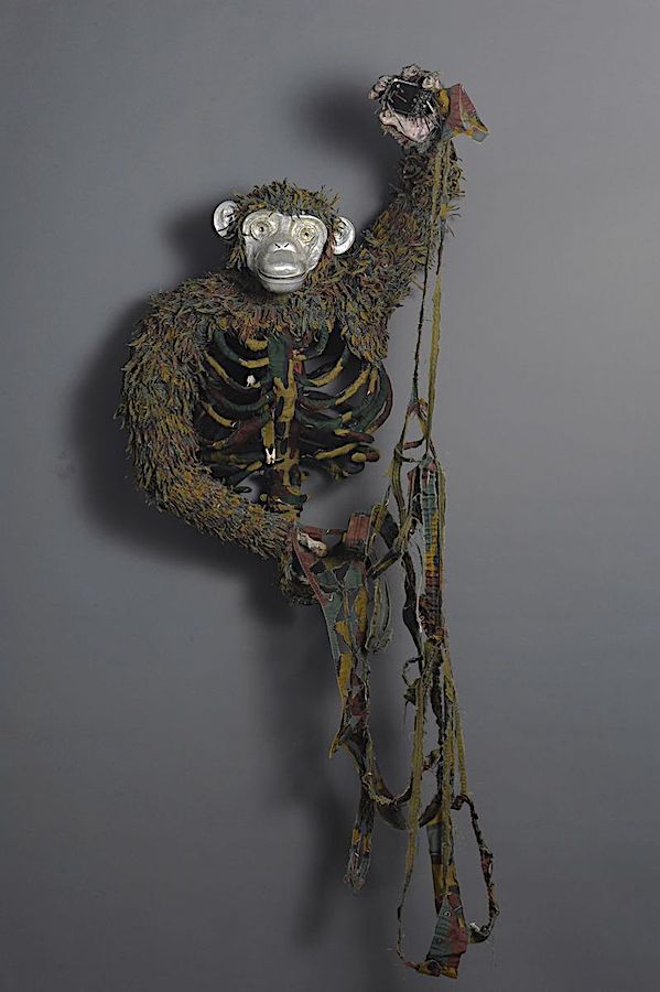 Fiona Hall, Pan Tragladytes, Chimpanzee, Equatorial Africa, 2012, Fall ...